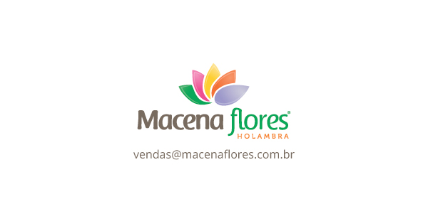 Macena Flores